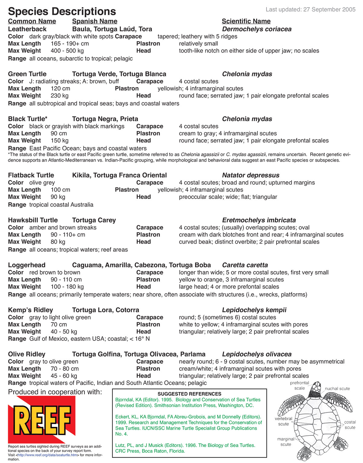Turtle Species ID - Atlantic Beach Sea Turtle Project